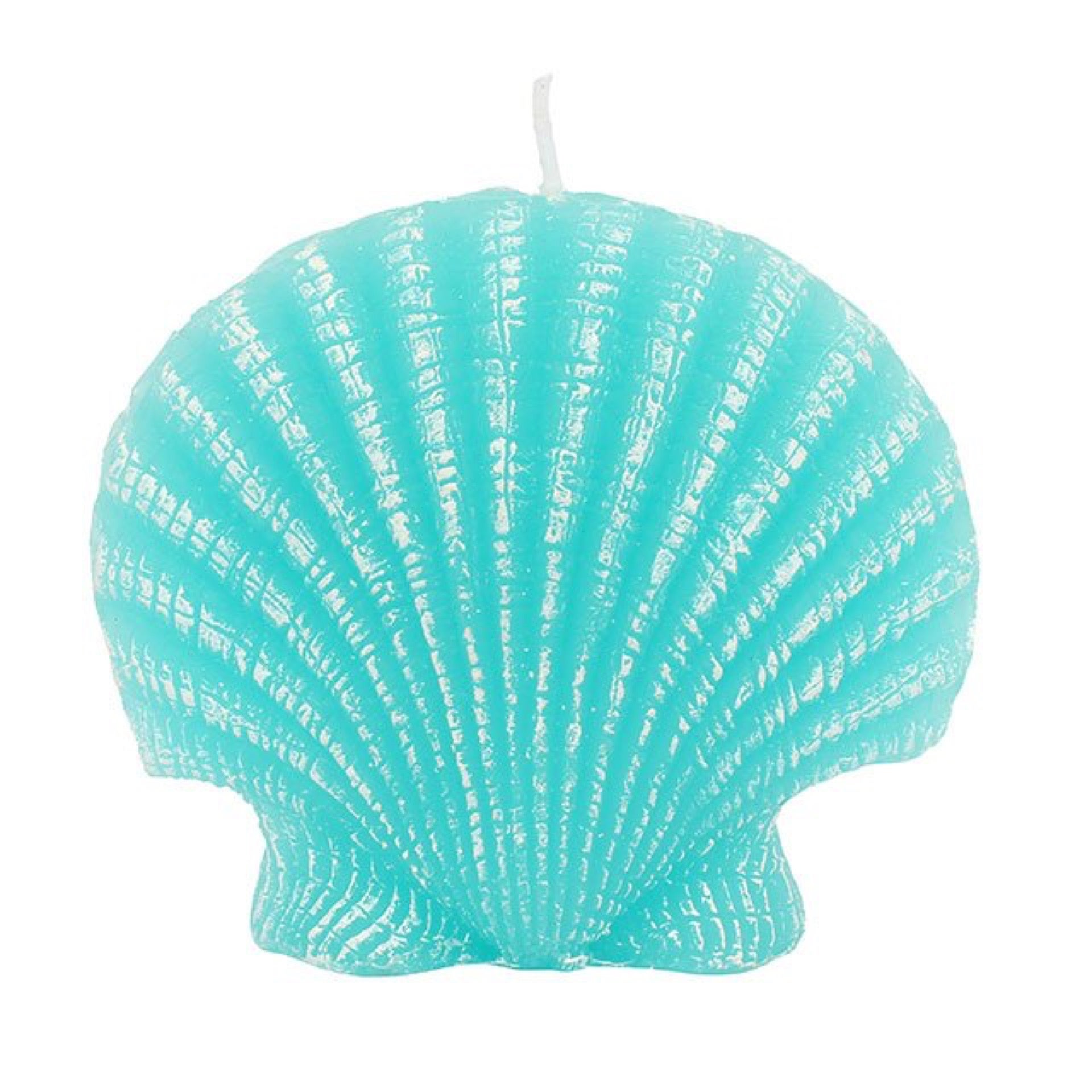 Turquoise Clam Shell Candle | The Alley